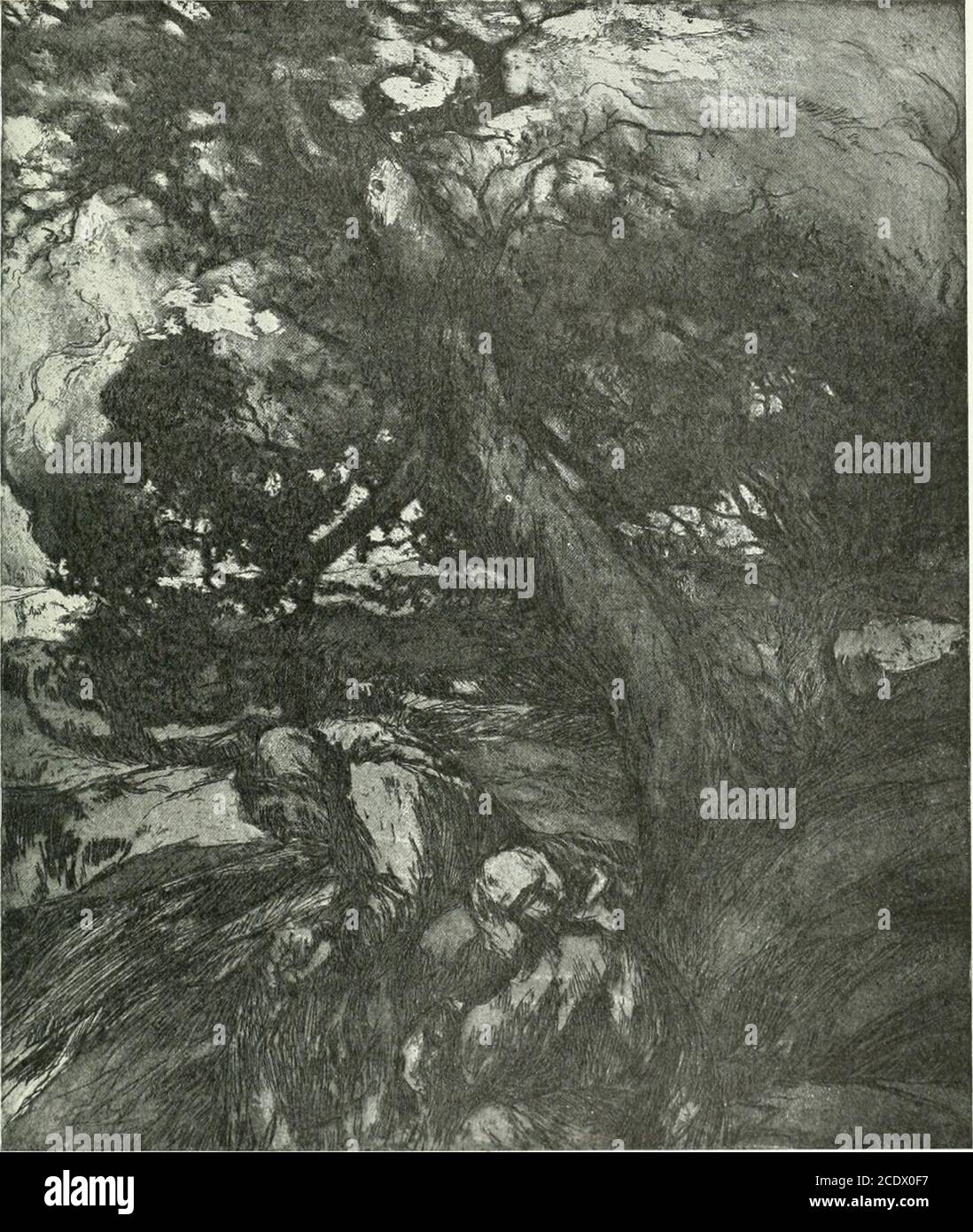 . Studio international . SM WBY EMILE ZOIR E fCHING Studio-Talk Stock ...