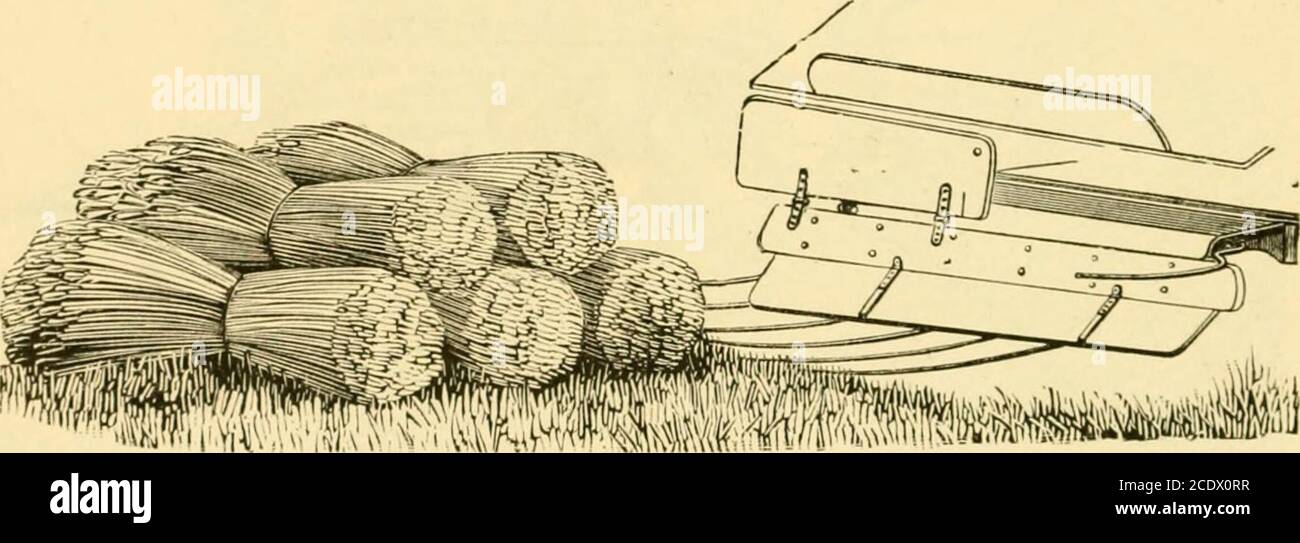 Sheaf binder hi-res stock photography and images - Alamy