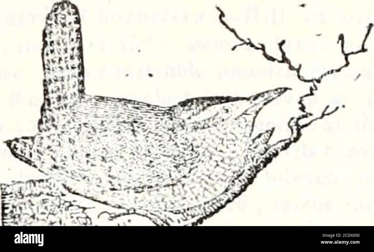 . History of Vermont, natural, civil, and statistical, in three parts ...