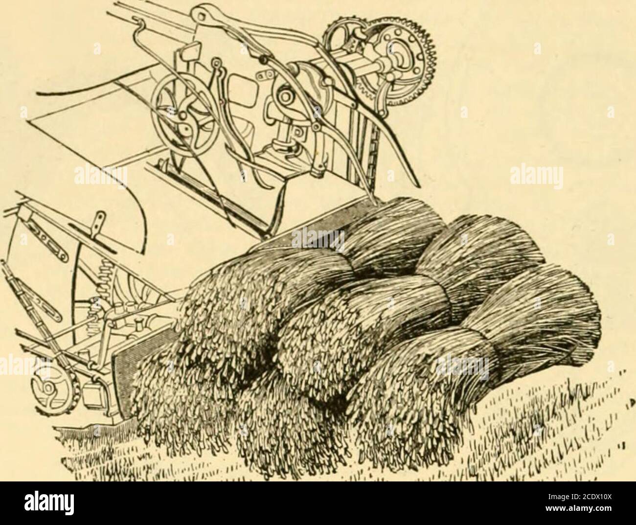 Sheaf binder hi-res stock photography and images - Alamy