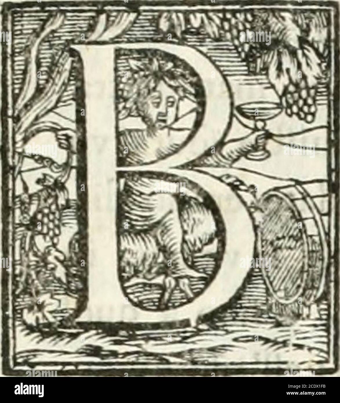 Che amico cavallo hi-res stock photography and images - Alamy