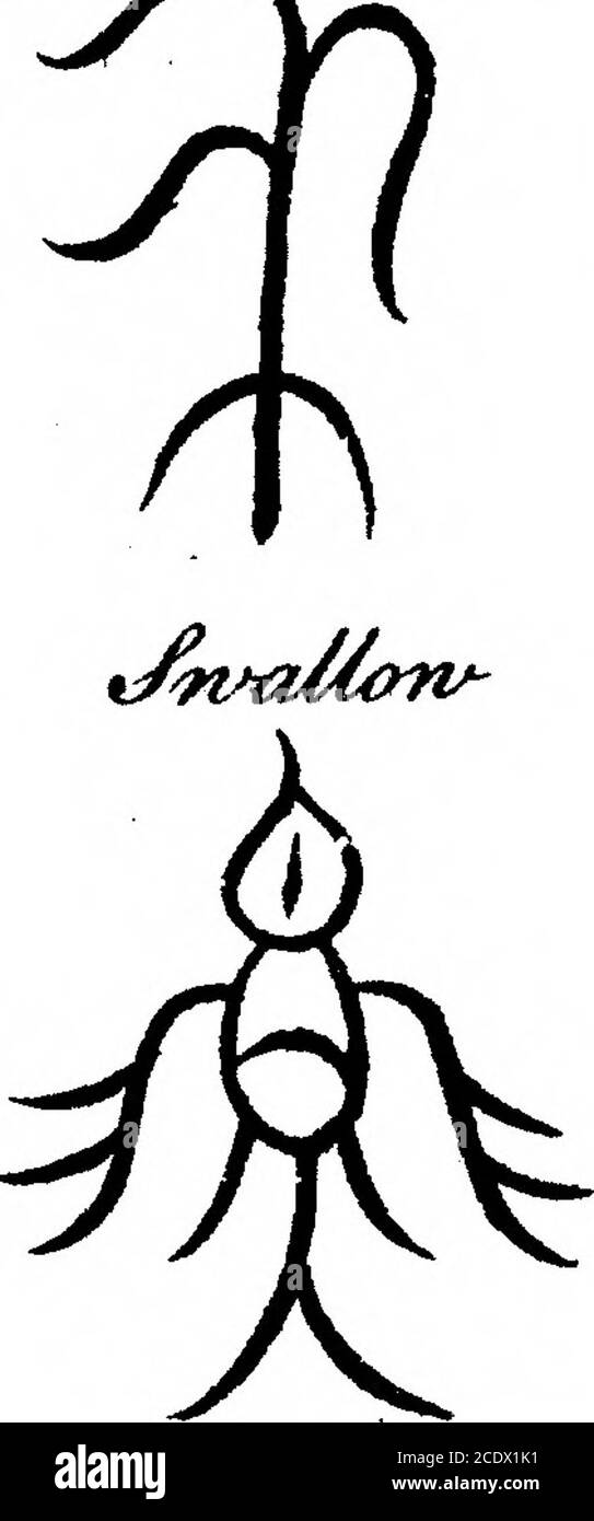 Charles morton Cut Out Stock Images & Pictures - Alamy