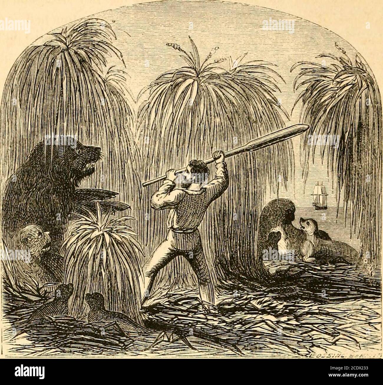 John apostle st peters hi-res stock photography and images - Alamy