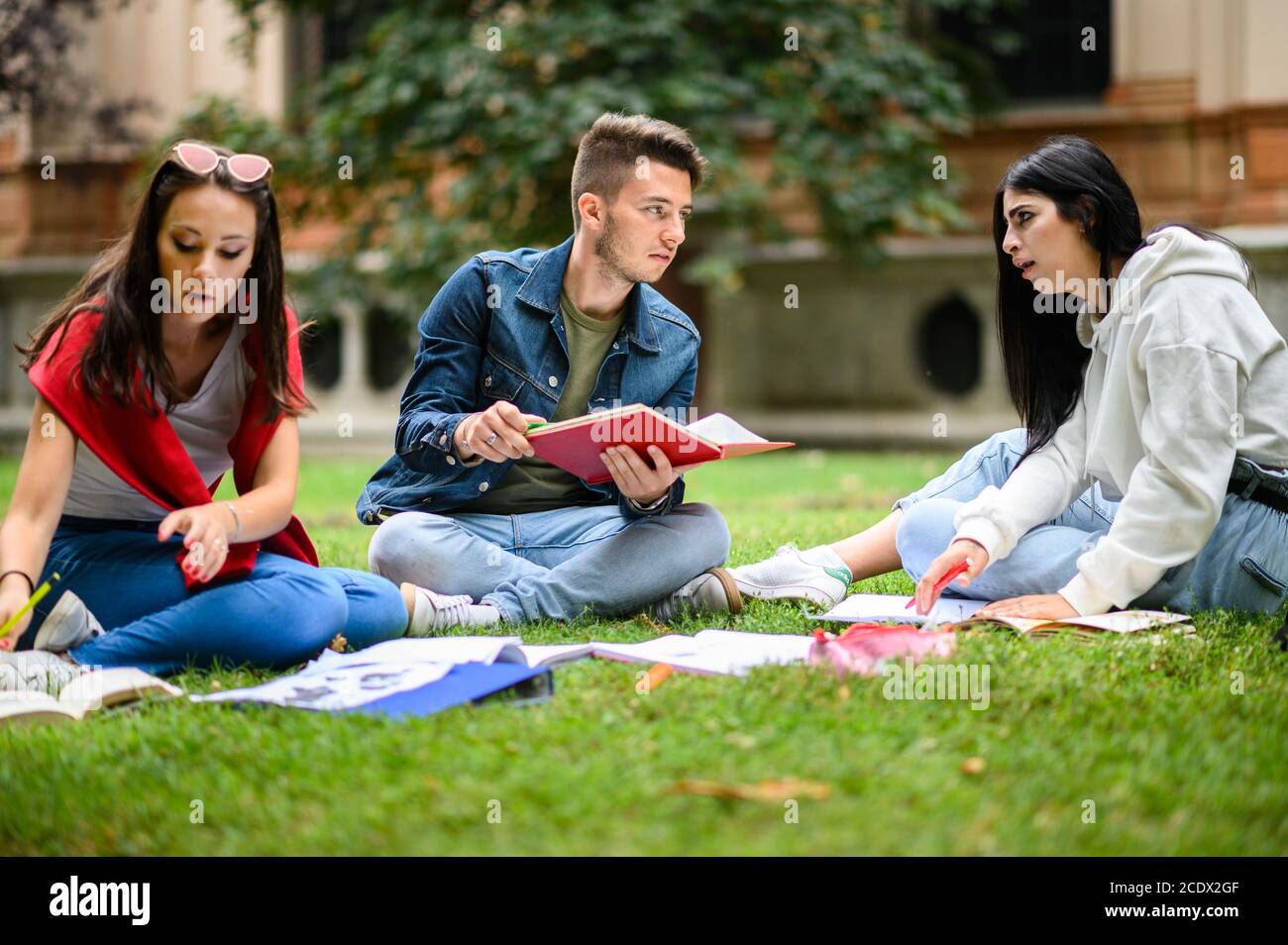 Students sitting on the grass and studying together at the park Stock ...