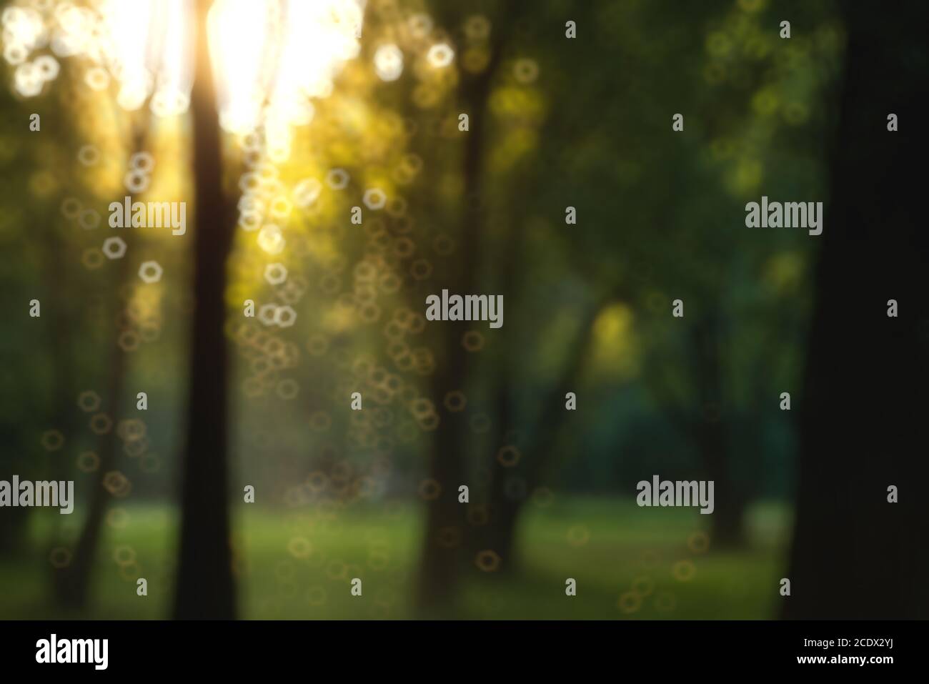 Sunlight particles hi-res stock photography and images - Alamy