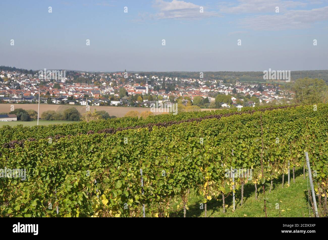 Rossdorf hi-res stock photography and images - Alamy