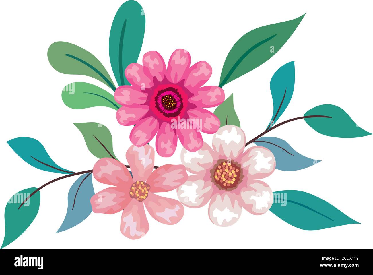 pink flowers drawing with leaves vector design Stock Vector Image & Art ...