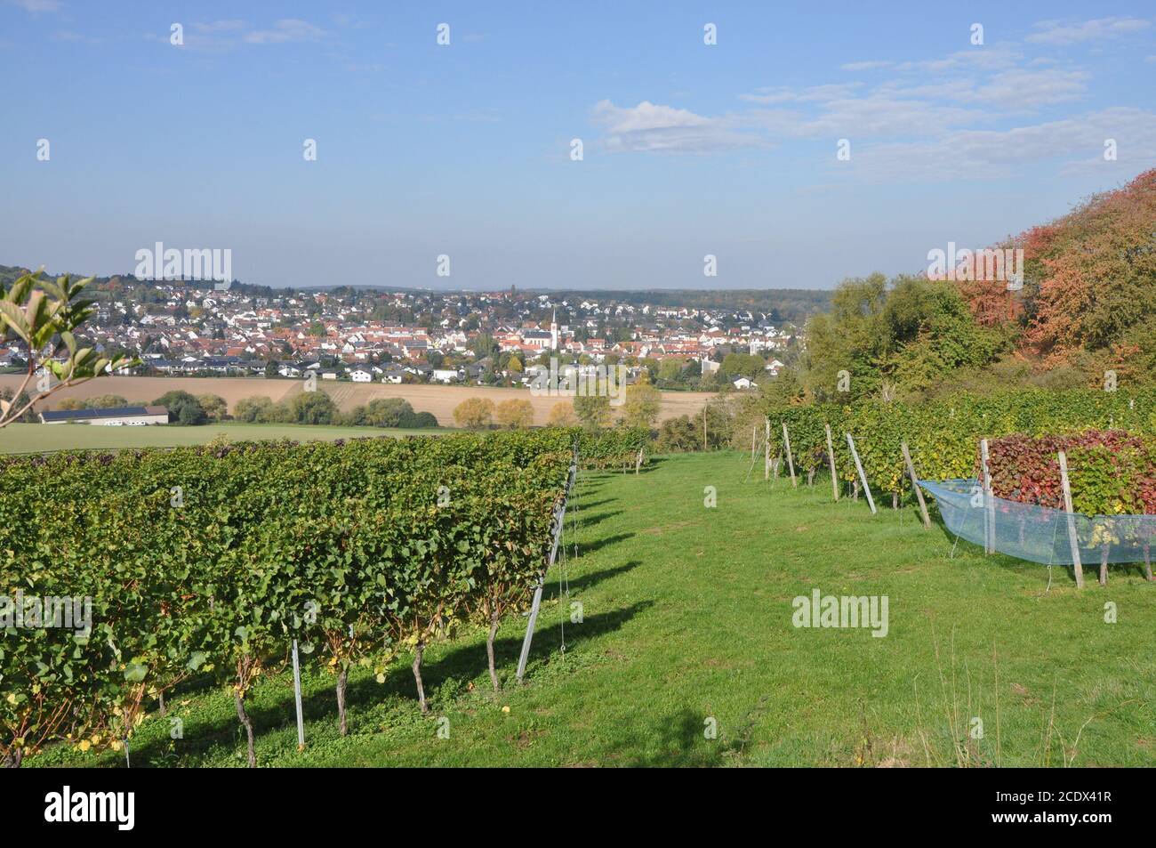 Rossdorf hi-res stock photography and images - Alamy