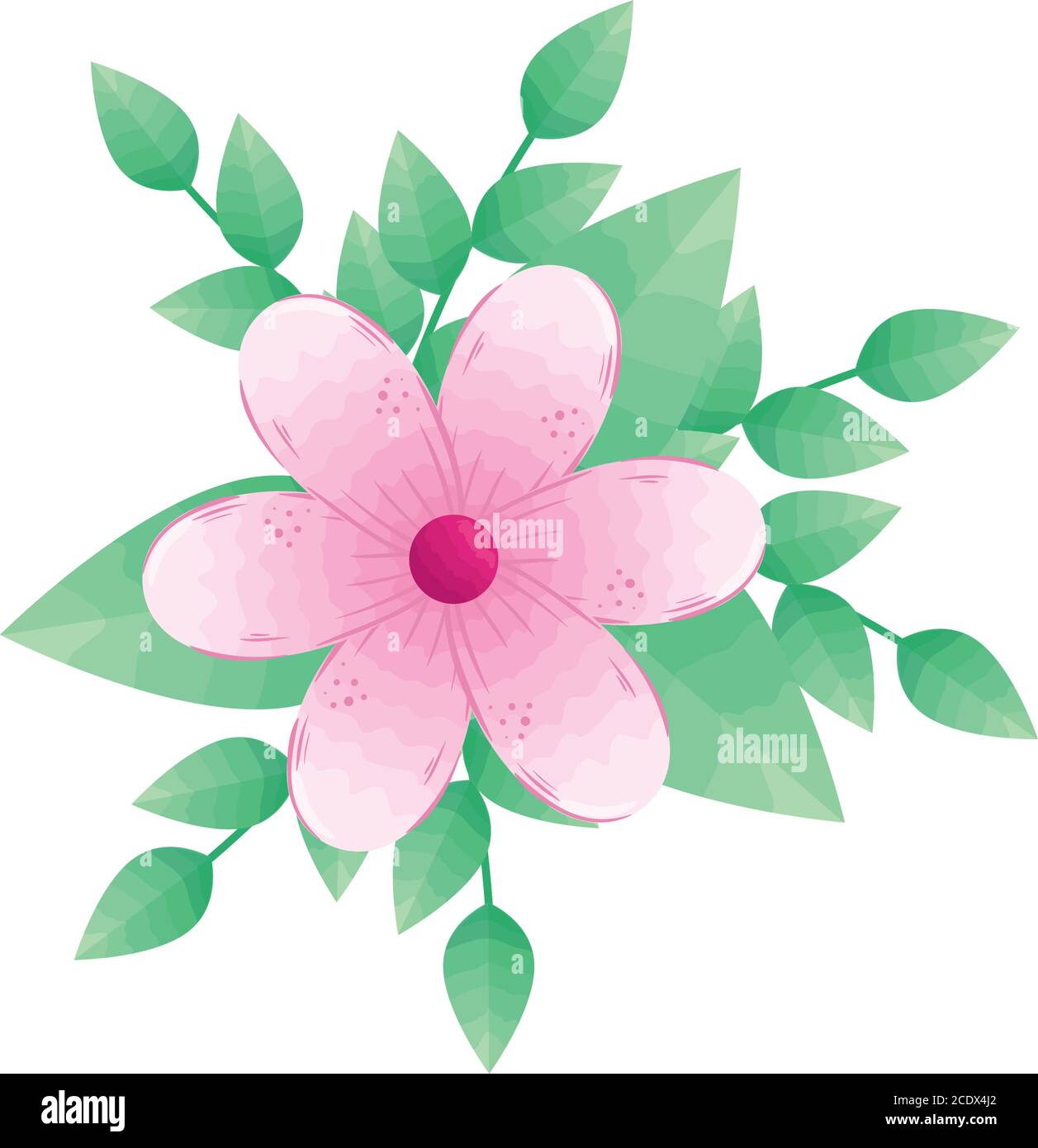 pink flowers with leaves vector design Stock Vector Image & Art - Alamy