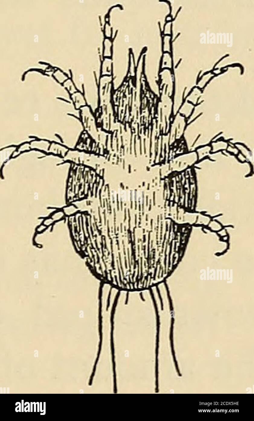 Vertically elongated hi-res stock photography and images - Alamy