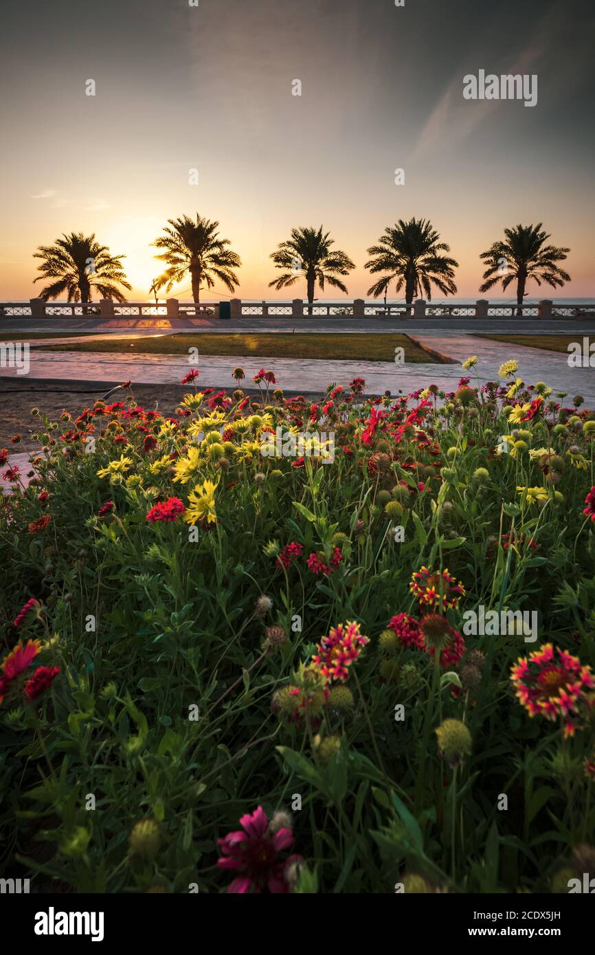 Al khobar skyline hi-res stock photography and images - Alamy