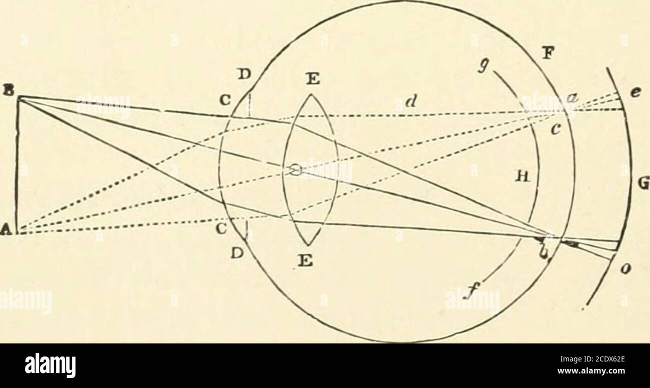 Image formation in retina hi-res stock photography and images - Alamy