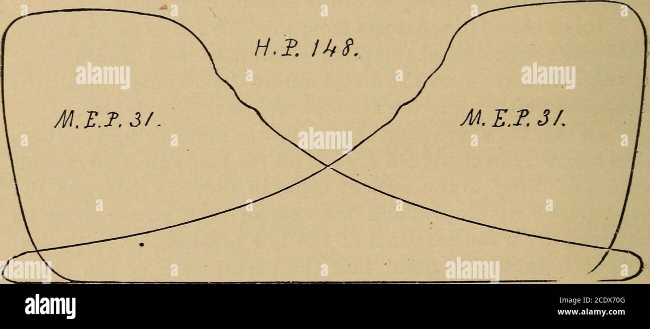 . The steam engine indicator and its appliances. Being a comprehensive ...