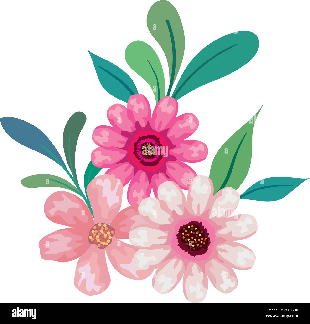 pink flowers drawing with leaves vector design Stock Vector Image & Art ...