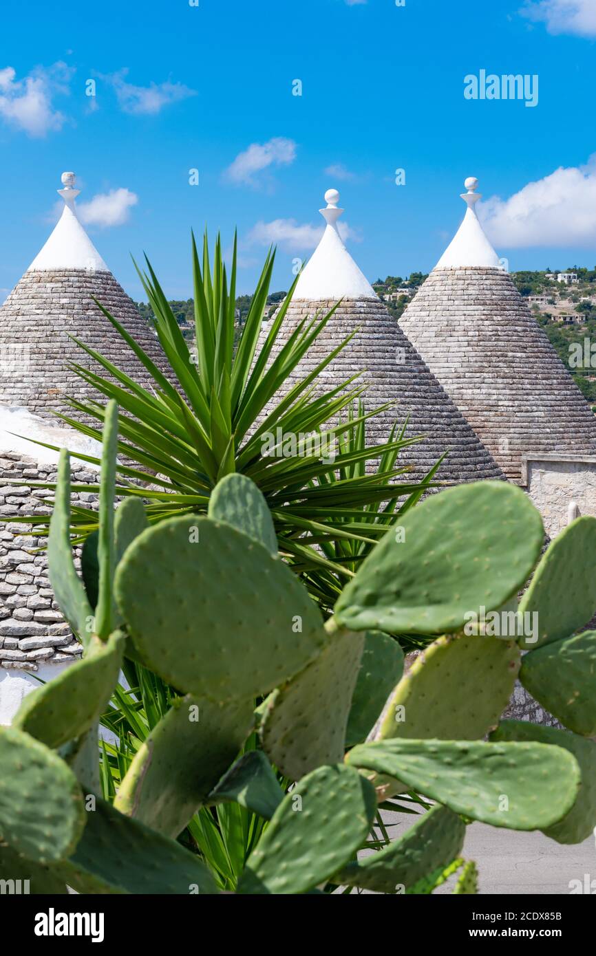 Group of beautiful Trulli, traditional Apulian dry stone hut old houses ...