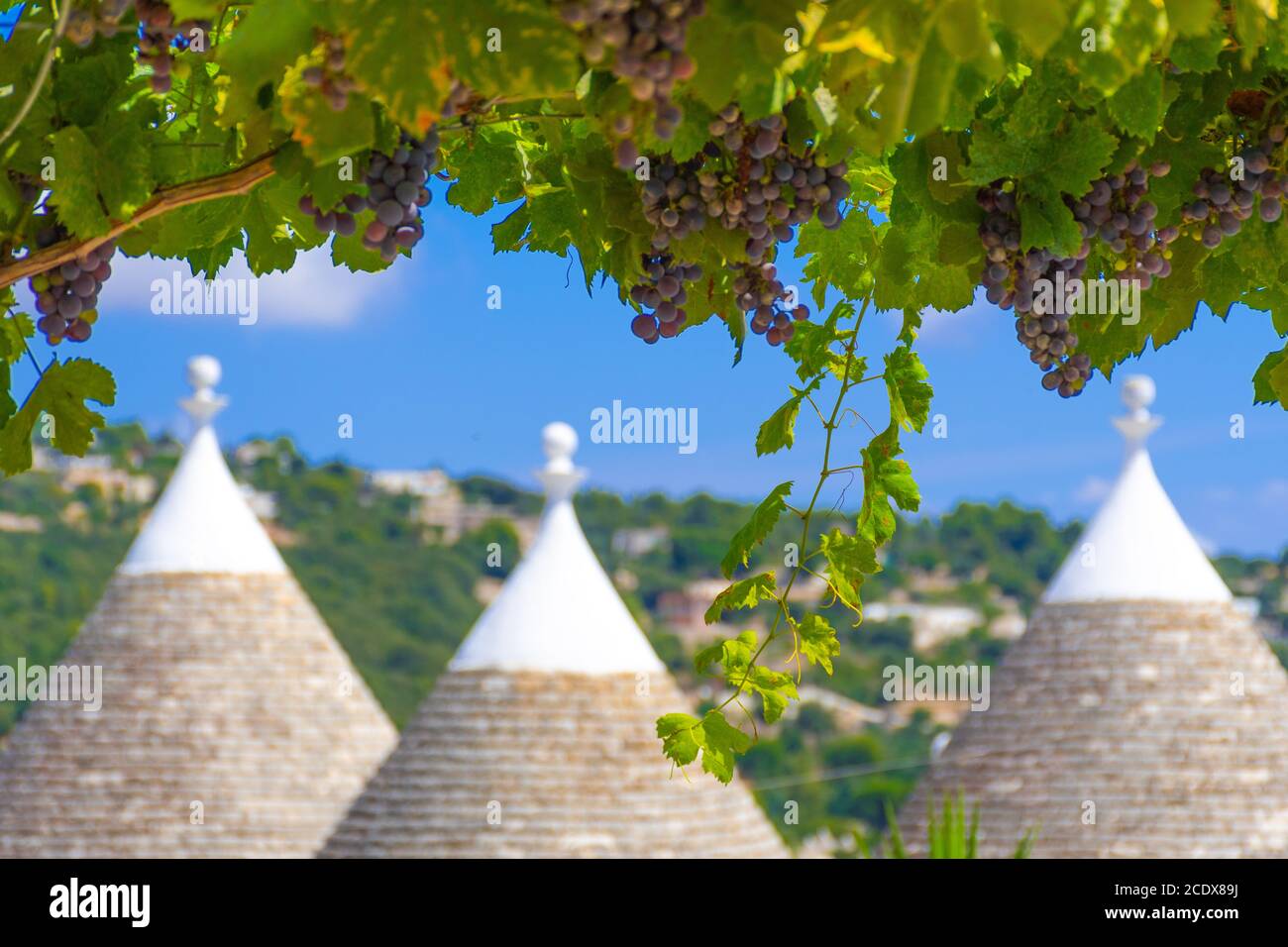 Group of beautiful Trulli, traditional Apulian dry stone hut old houses ...