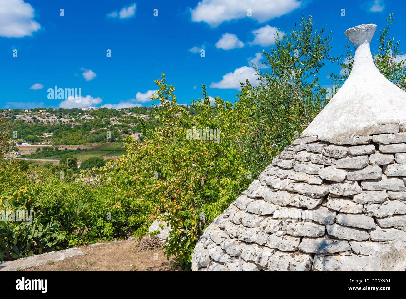 Roof of Trullo, traditional Apulian dry stone hut old houses with a ...