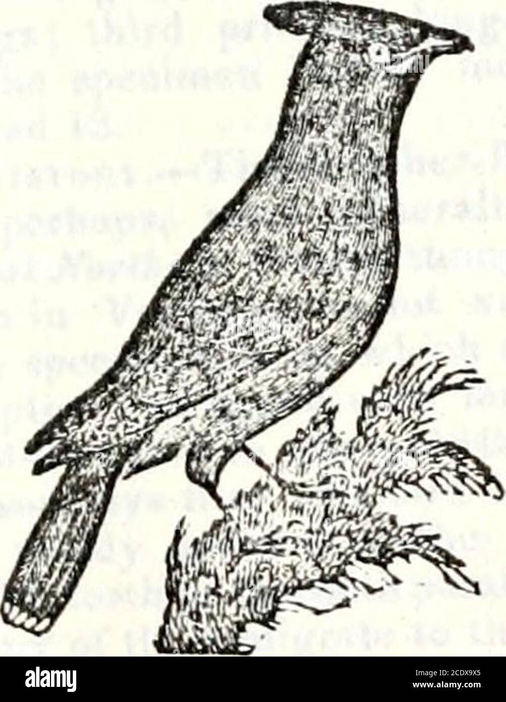 Map of kudus hi-res stock photography and images - Alamy