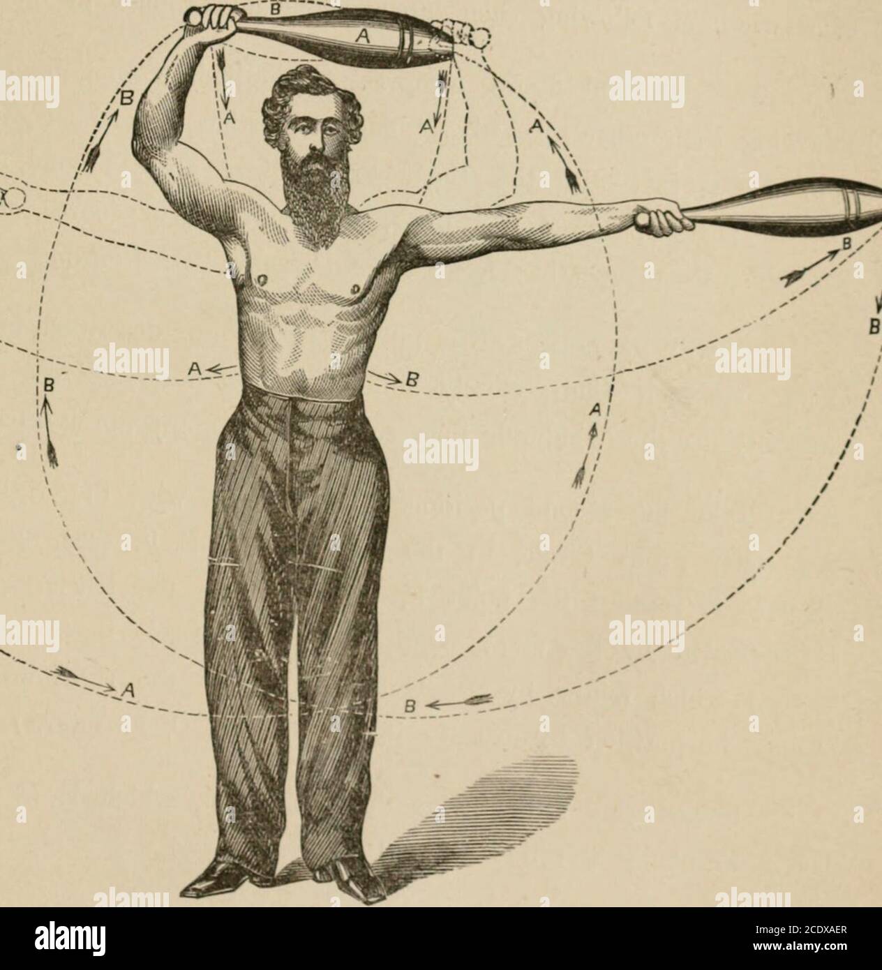 . The Indian club exercise : with explanatory figures and positions ...