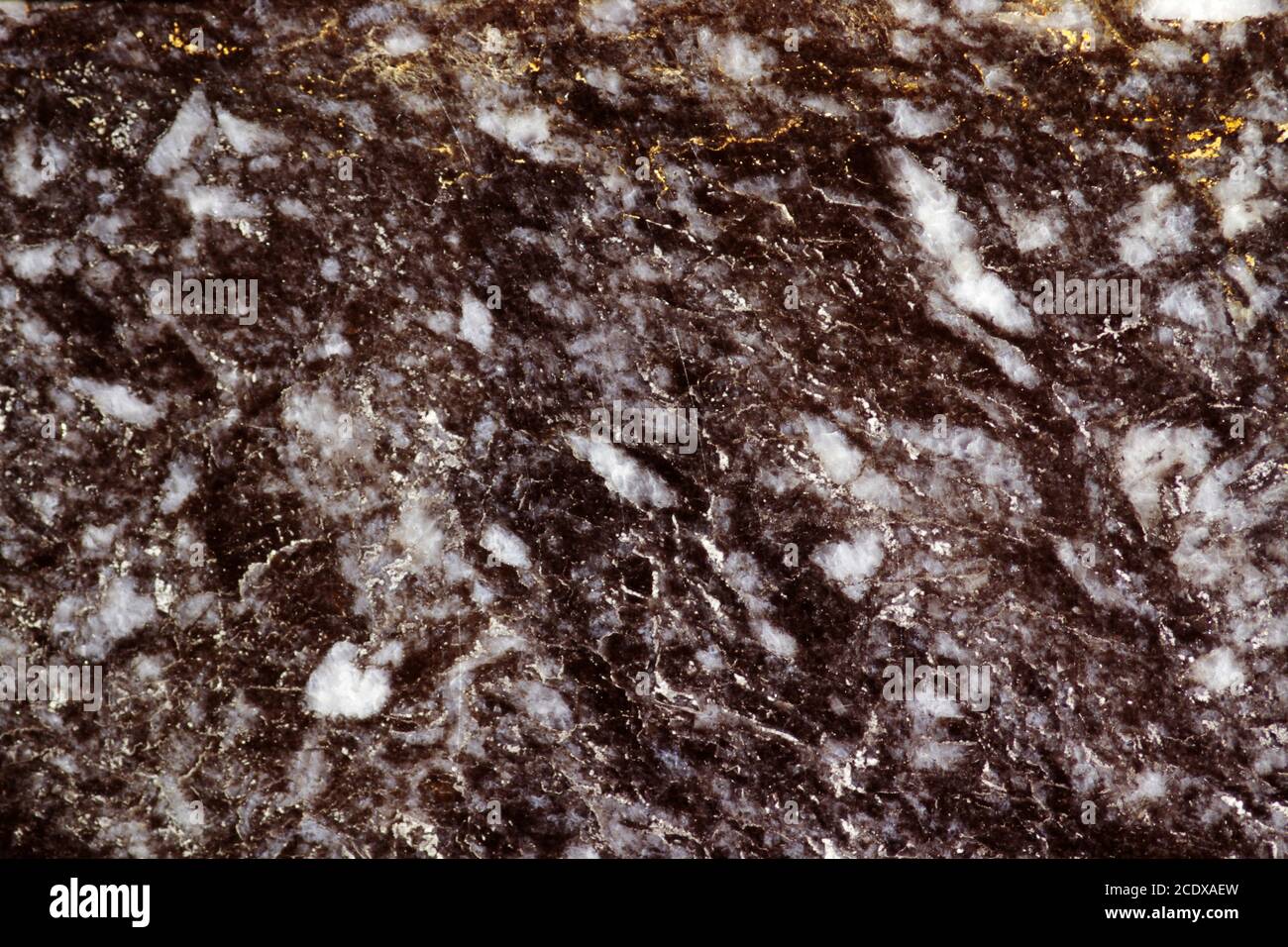 A few of the hundreds of varieties of marble in Turkey. Marble ...