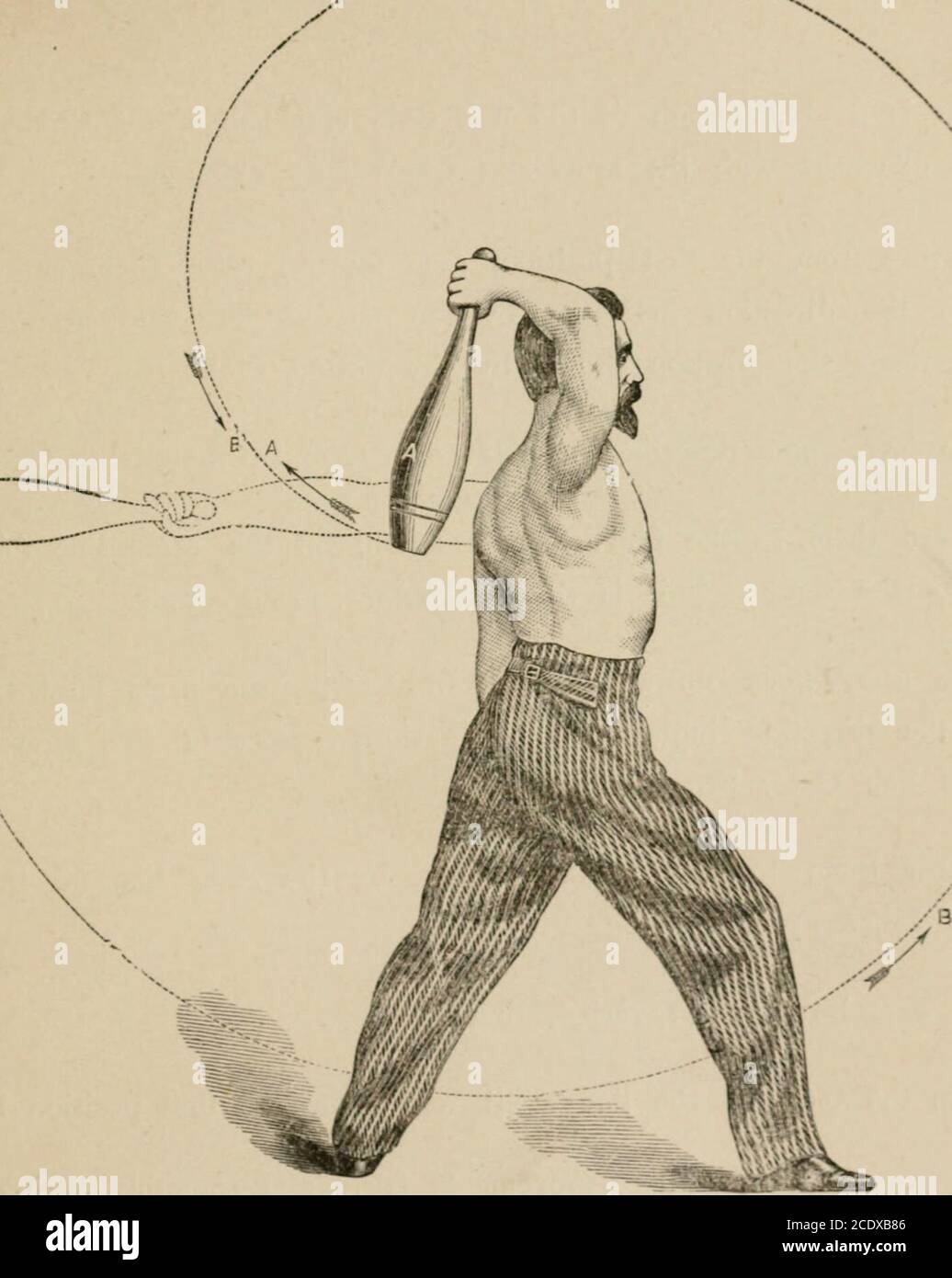 . The Indian club exercise : with explanatory figures and positions ...