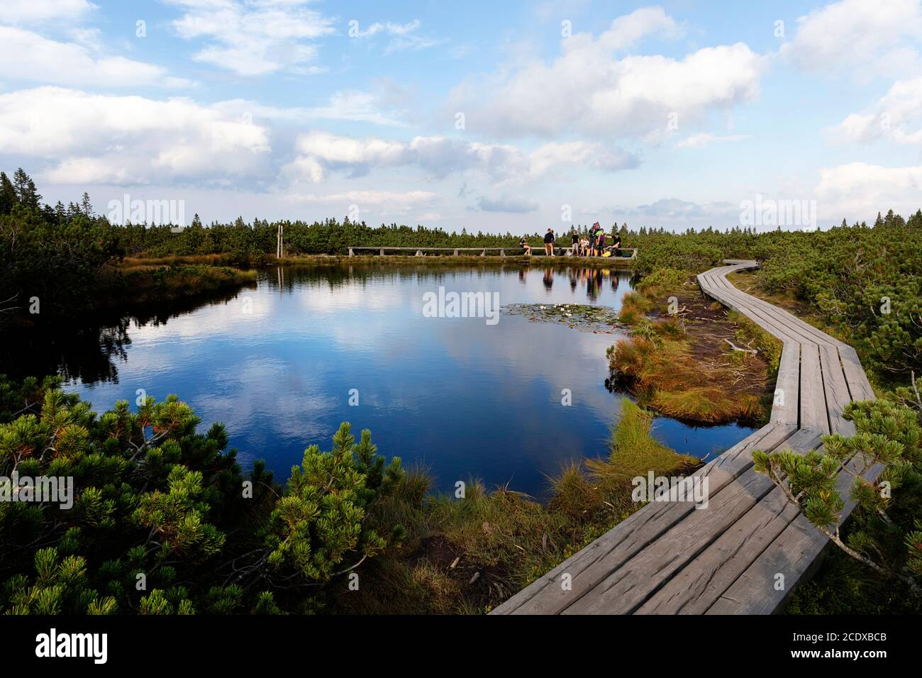 Group of people sitting on the wooden boardwalk crossing marshes ...