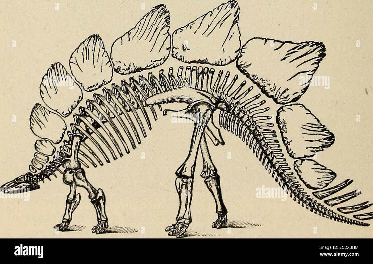 Itsbody hi-res stock photography and images - Alamy