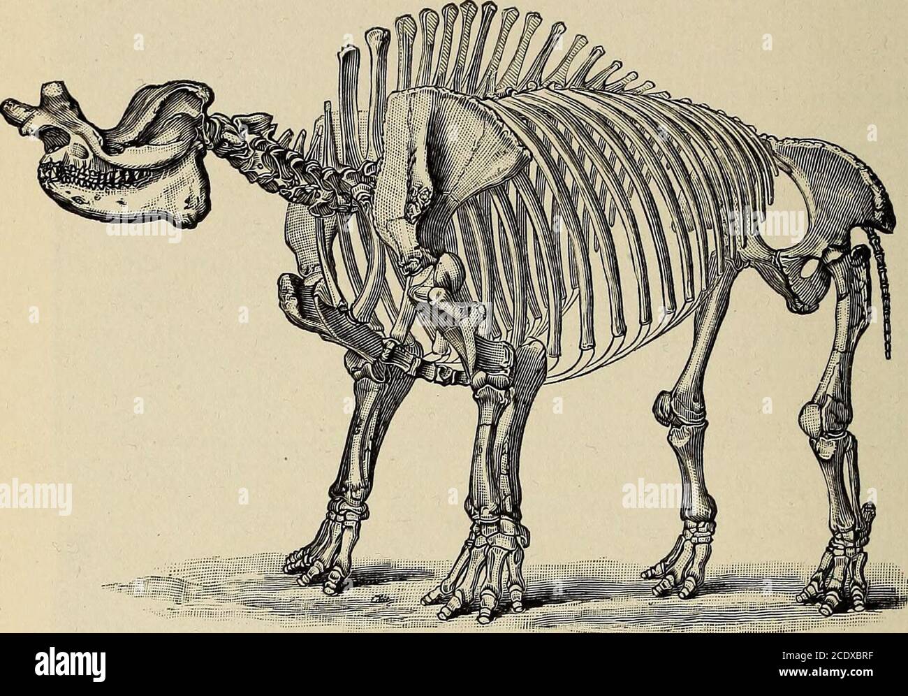 Itsbody hi-res stock photography and images - Alamy