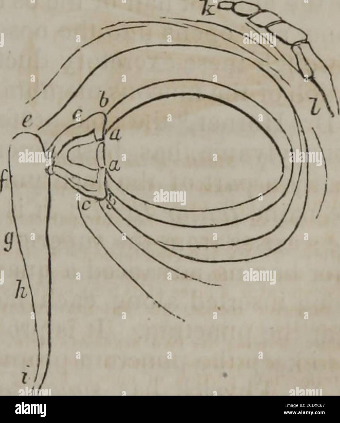 K motores hi-res stock photography and images - Alamy