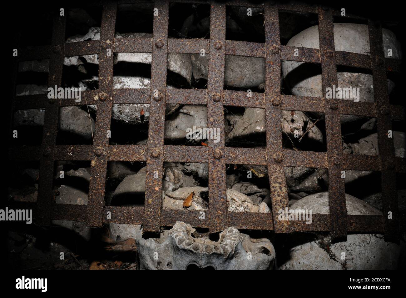 Toothless upper jaw amid skulls of medieval parishioners protrudes from ...
