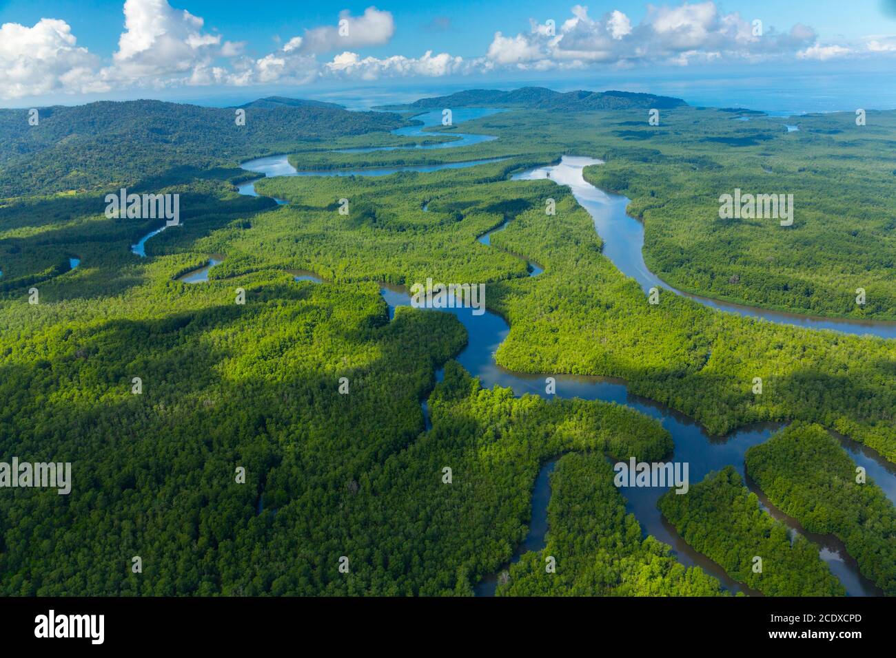 Aerial view of Delta Sierpe River Terraba, Corcovado National Park, Osa ...