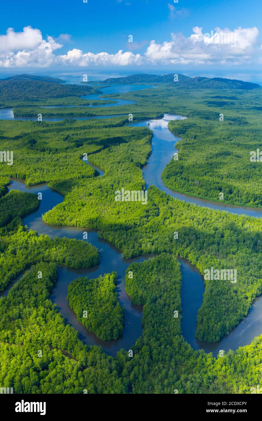 Aerial view of Delta Sierpe River Terraba, Corcovado National Park, Osa ...