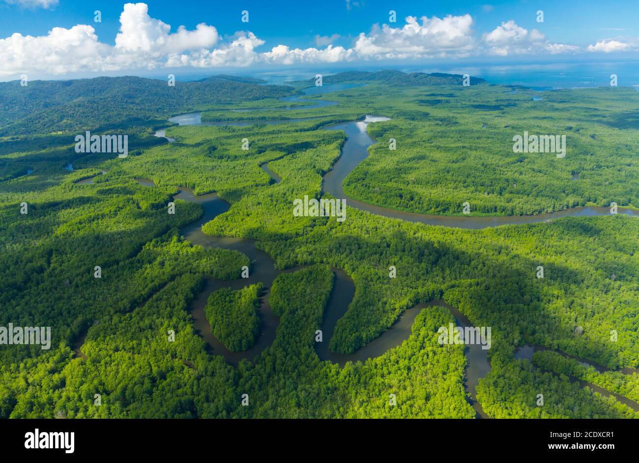 Aerial view of Delta Sierpe River Terraba, Corcovado National Park, Osa ...