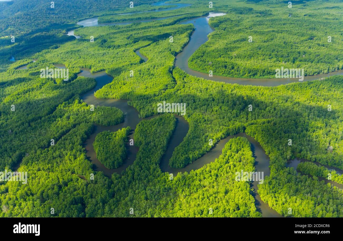 Aerial view of Delta Sierpe River Terraba, Corcovado National Park, Osa ...