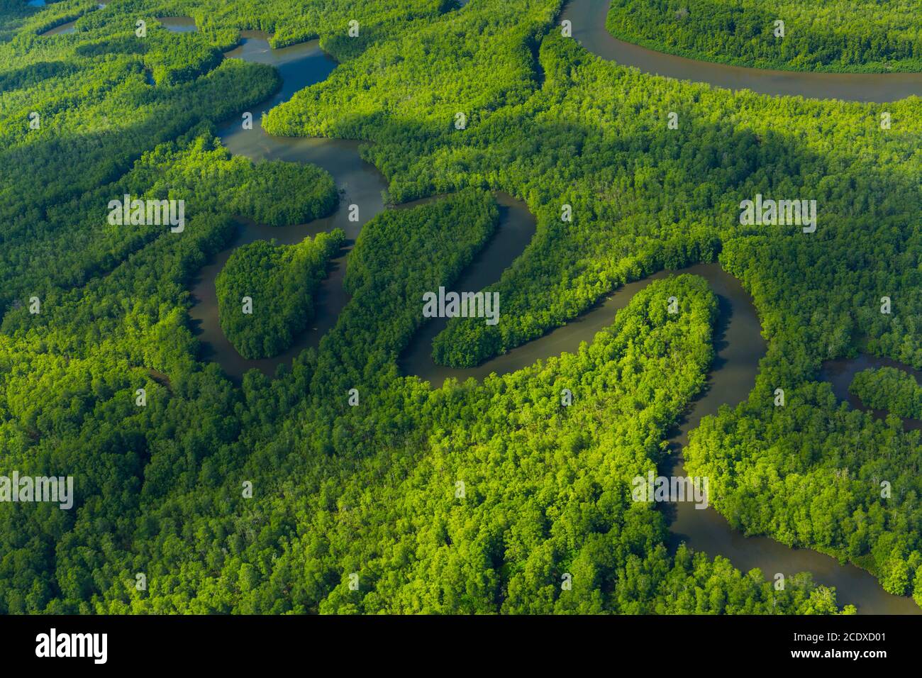 Aerial view of Delta Sierpe River Terraba, Corcovado National Park, Osa ...