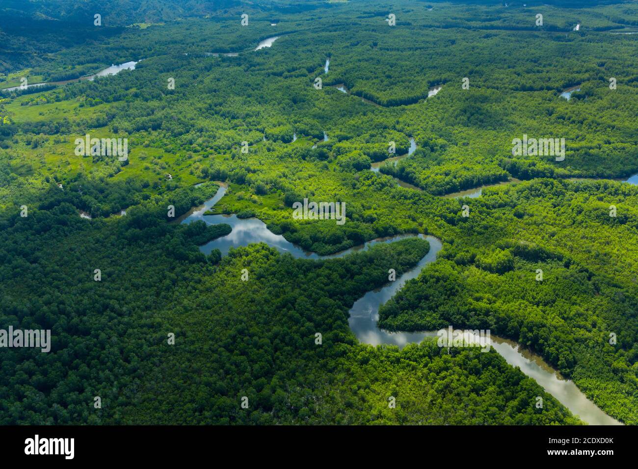 Aerial view of Delta Sierpe River Terraba, Corcovado National Park, Osa ...