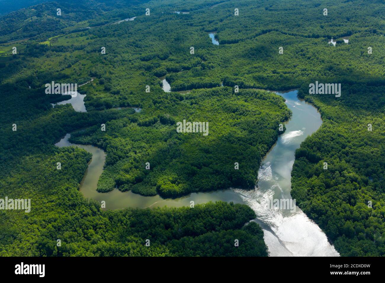Aerial view of Delta Sierpe River Terraba, Corcovado National Park, Osa ...