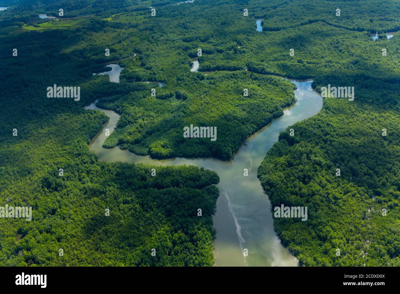 Aerial view of Delta Sierpe River Terraba, Corcovado National Park, Osa ...