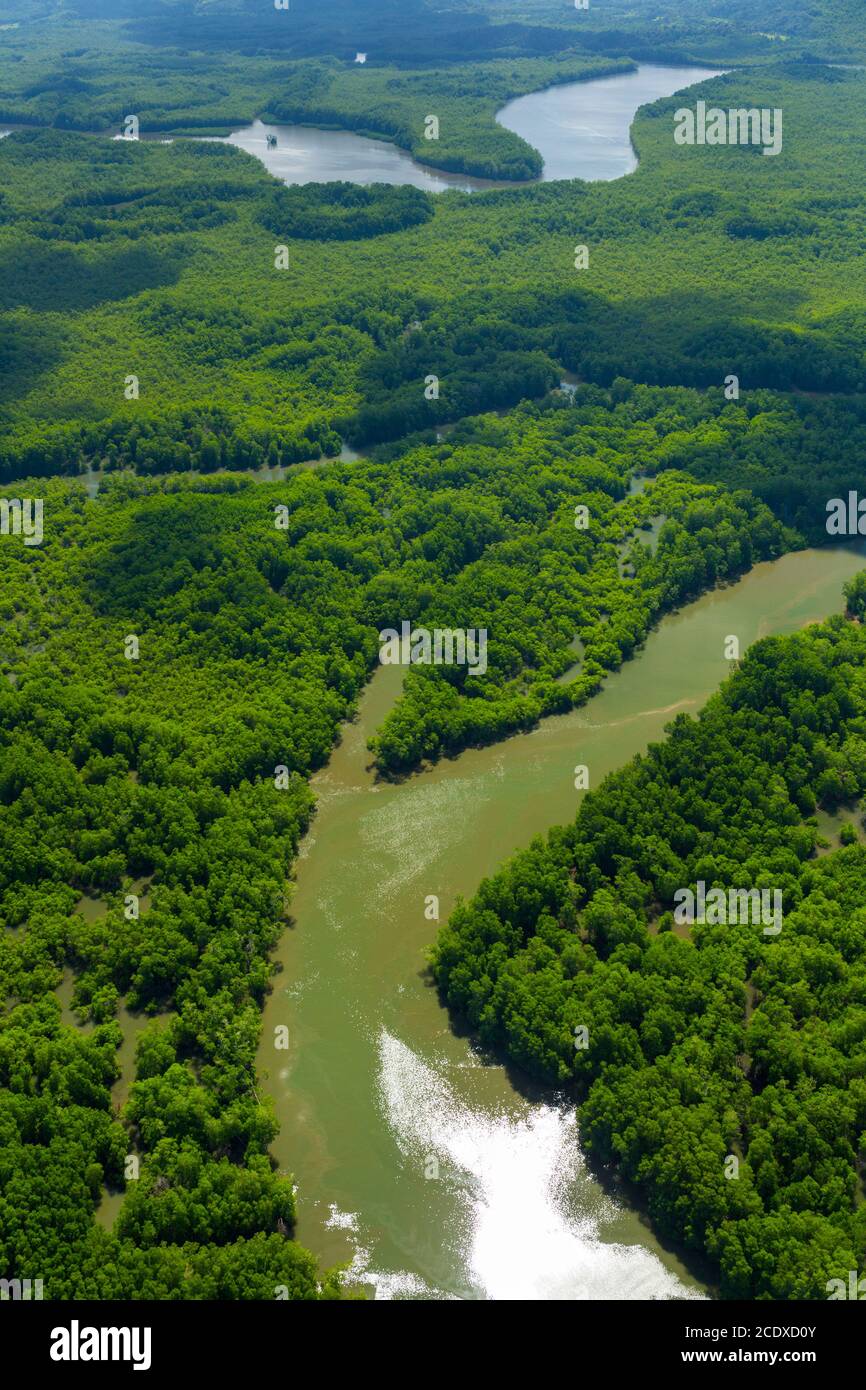 Aerial view of Delta Sierpe River Terraba, Corcovado National Park, Osa ...