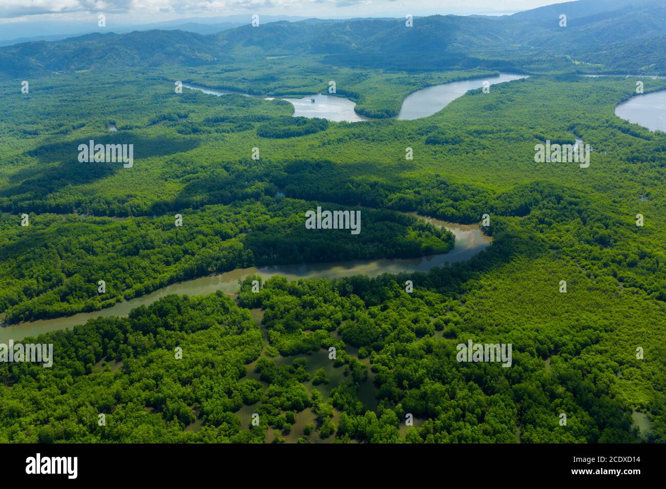 Aerial view of Delta Sierpe River Terraba, Corcovado National Park, Osa ...
