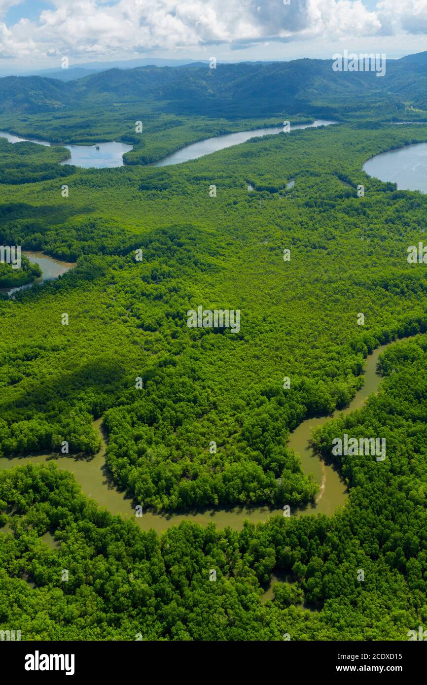 Aerial view of Delta Sierpe River Terraba, Corcovado National Park, Osa ...