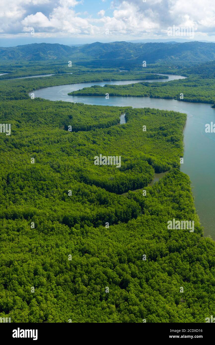 Aerial view of Delta Sierpe River Terraba, Corcovado National Park, Osa ...