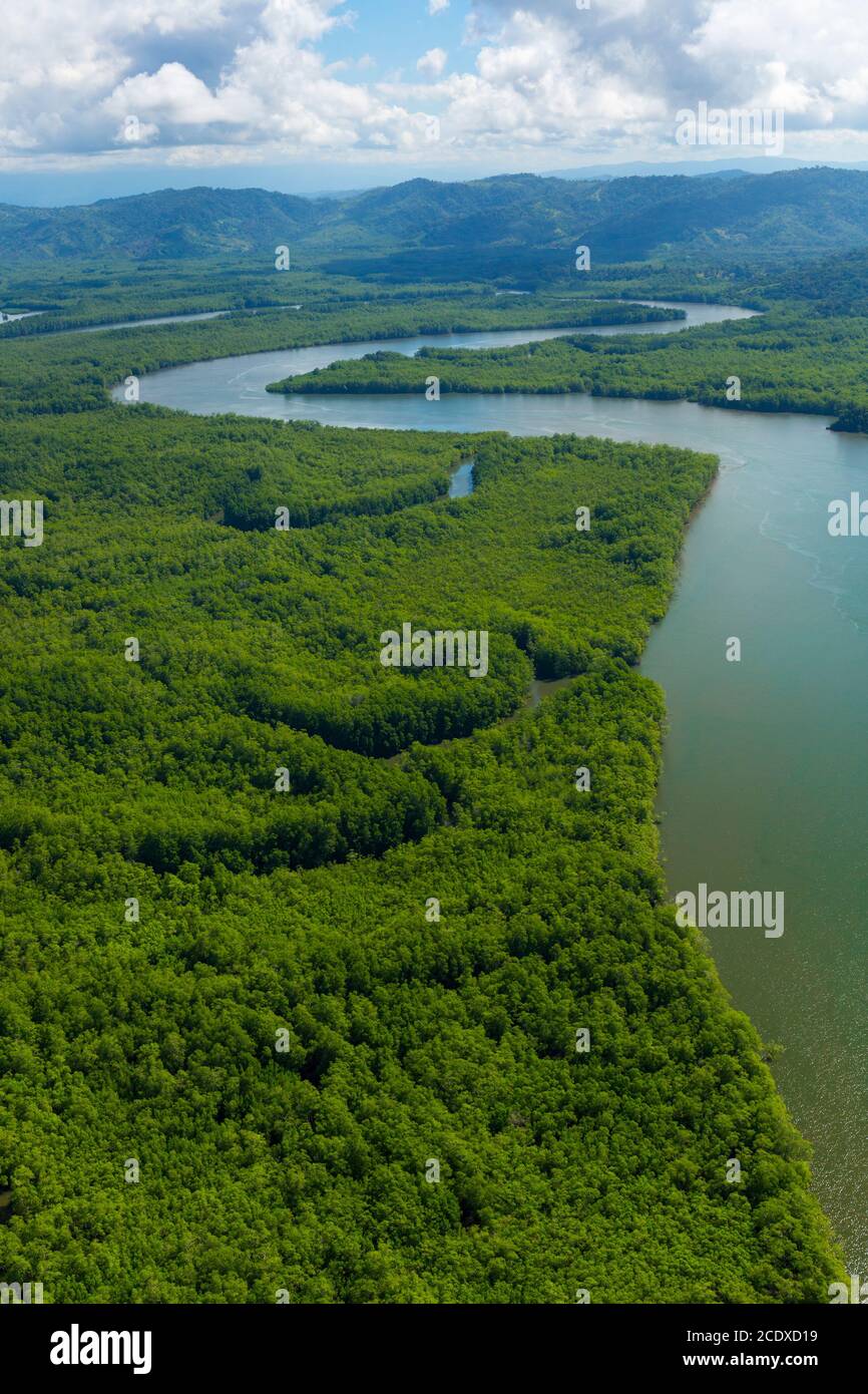 Aerial view of Delta Sierpe River Terraba, Corcovado National Park, Osa ...