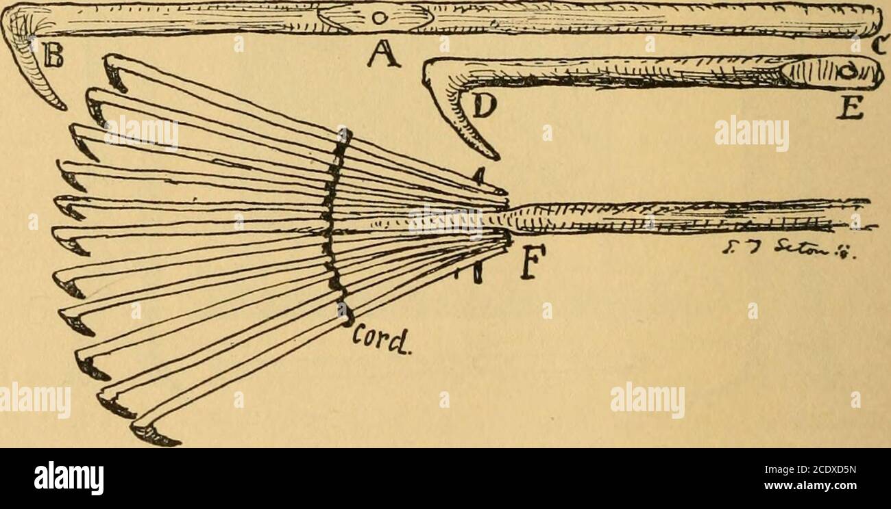 . The book of woodcraft . this time it goes more slowlyfor the lack of ...
