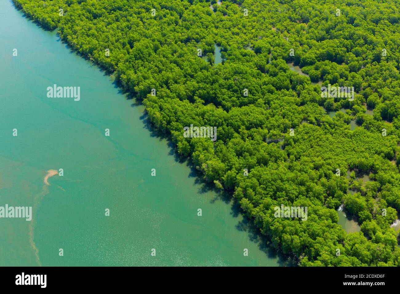 Aerial view of Delta Sierpe River Terraba, Corcovado National Park, Osa ...