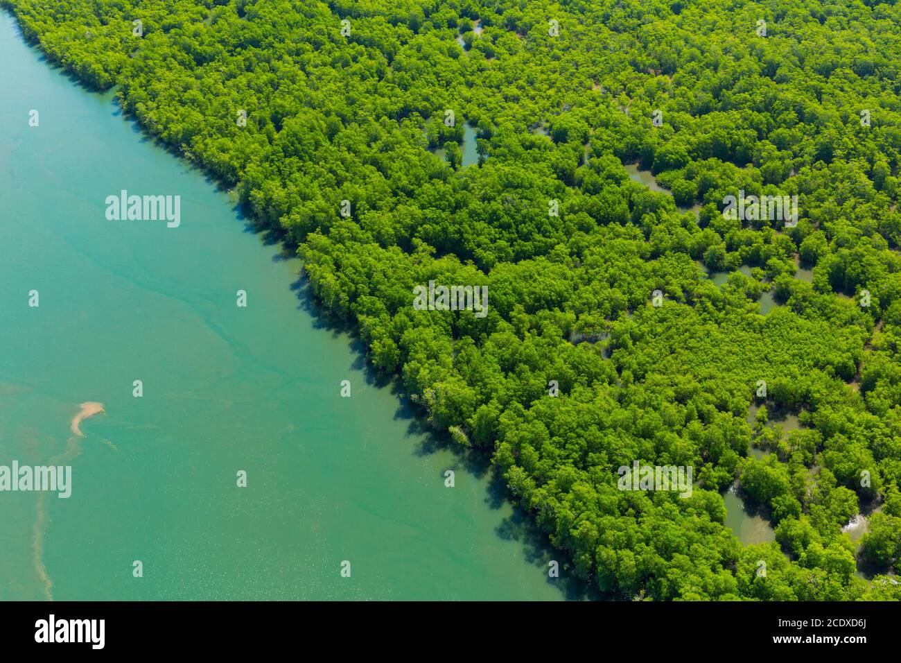Aerial view of Delta Sierpe River Terraba, Corcovado National Park, Osa ...