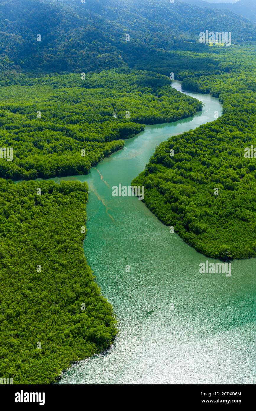 Aerial view of Delta Sierpe River Terraba, Corcovado National Park, Osa ...