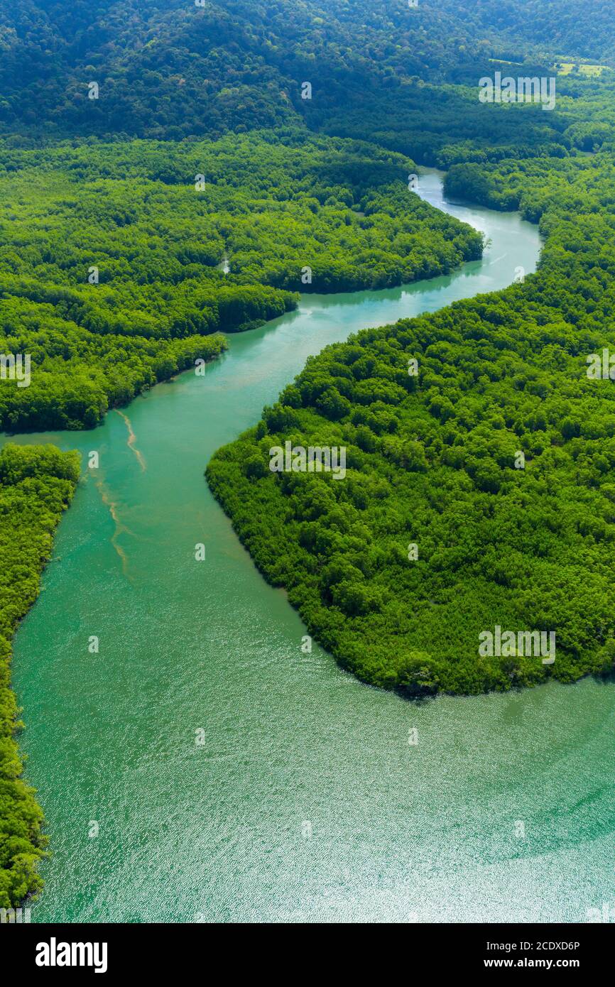 Aerial view of Delta Sierpe River Terraba, Corcovado National Park, Osa ...