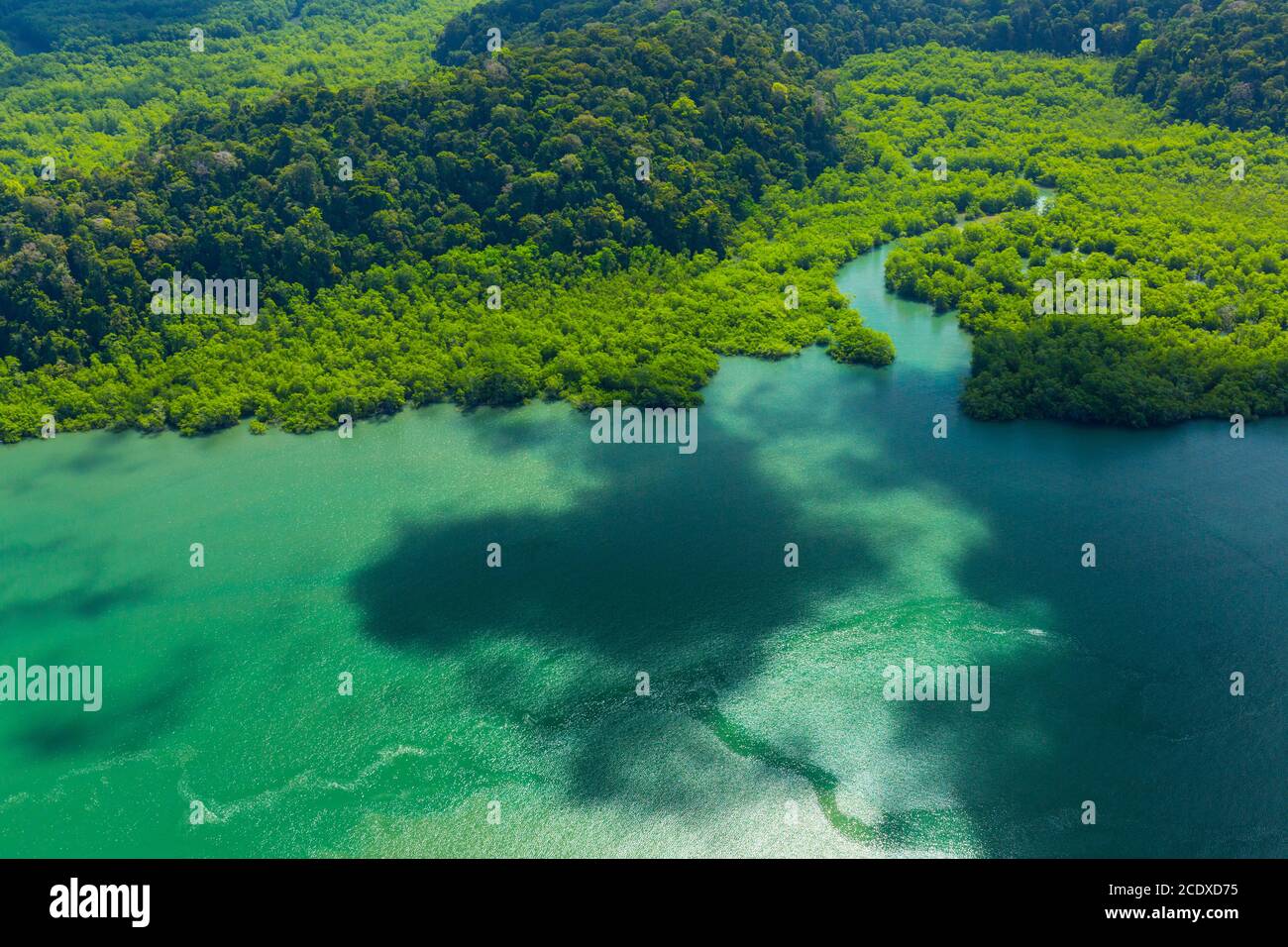 Aerial view of Delta Sierpe River Terraba, Corcovado National Park, Osa ...
