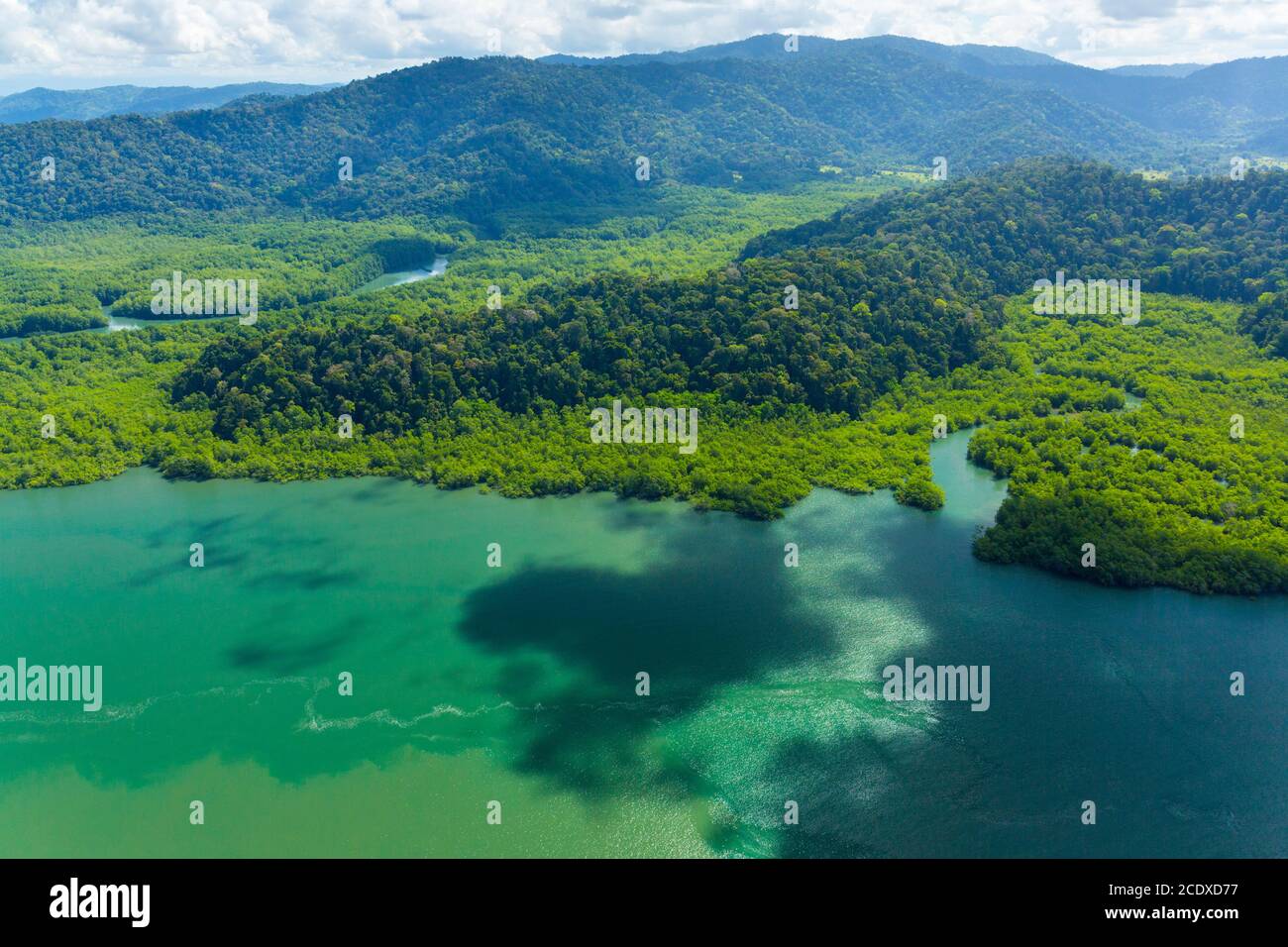 Aerial view of Delta Sierpe River Terraba, Corcovado National Park, Osa ...